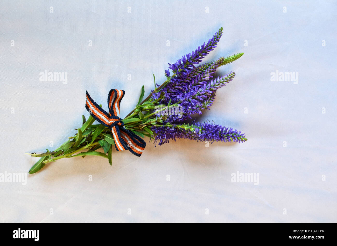 Small blue bouquet of summer flowers at white background Stock Photo ...