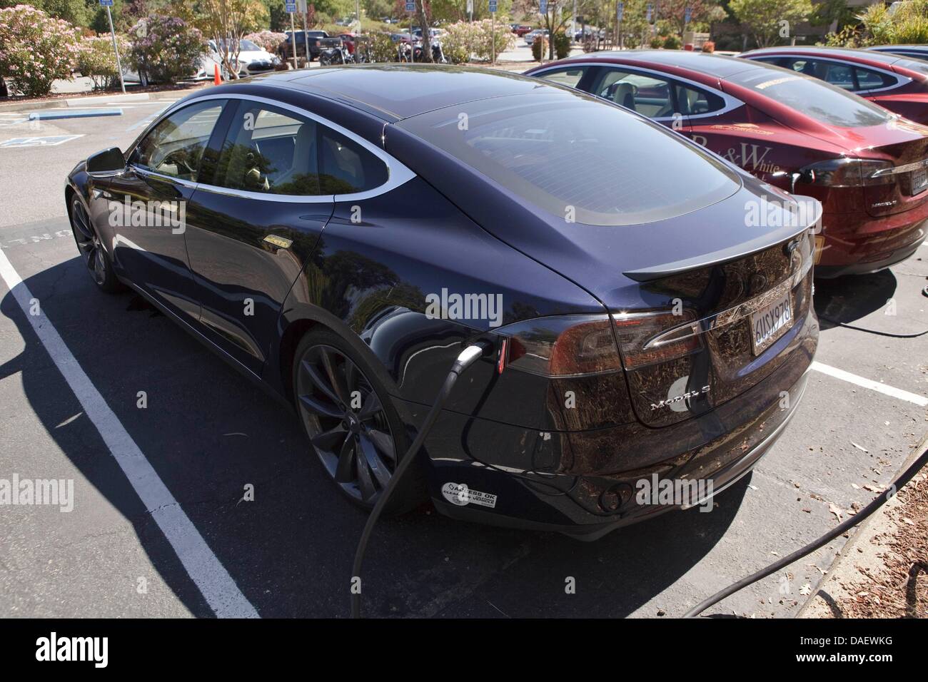 July 11, 2013 - Palo Alto, California, U.S. - A row of Tesla Model S ...