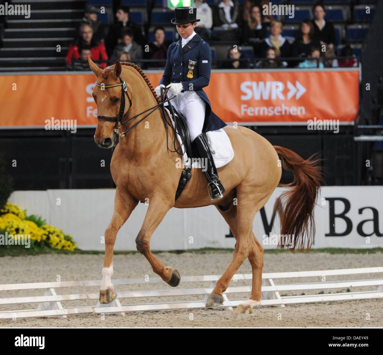 German dressage rider Monica Theodorescu competes on gelding Whisper ...