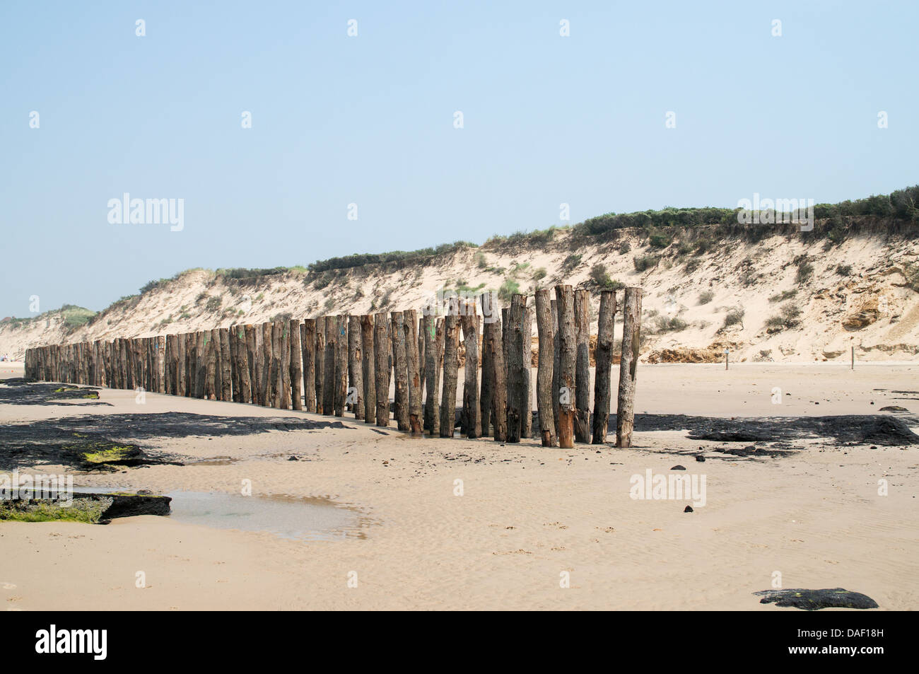 Wooden piles breakwater hi-res stock photography and images - Alamy