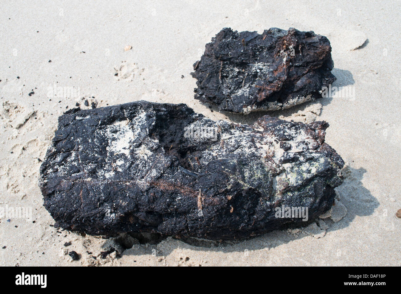 A sample of material from an outcrop of what appears to be lignite or ...