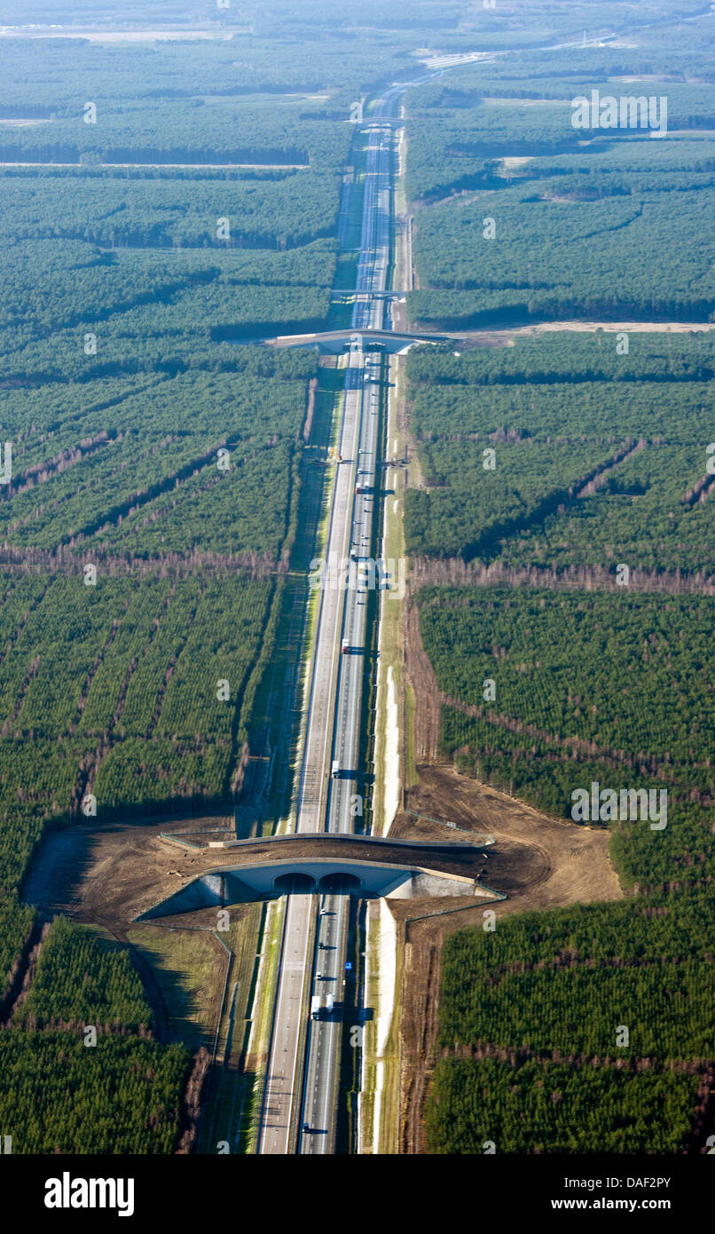 FILE - An archive picture dated 25 November 2011 shows the Polish ...