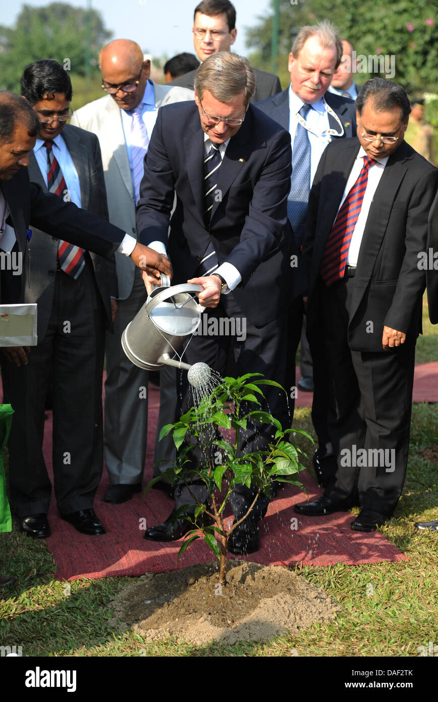 German President Christian Wulff (C) plants a mango tree at the ...
