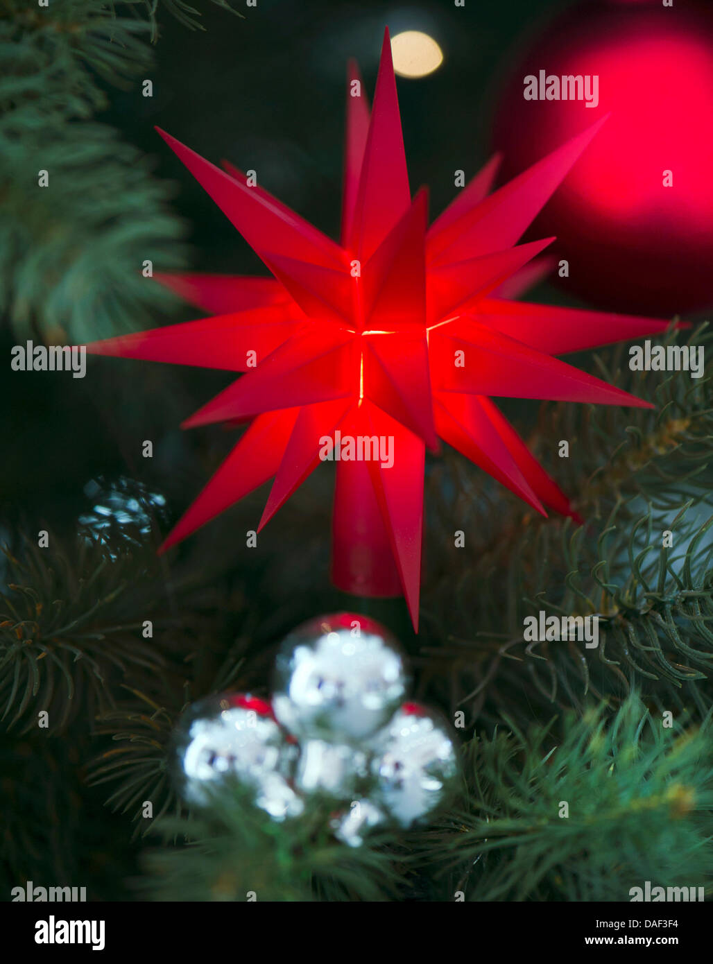 A lit-up red Moravian star hangs from a colorfully decorated Christmas ...
