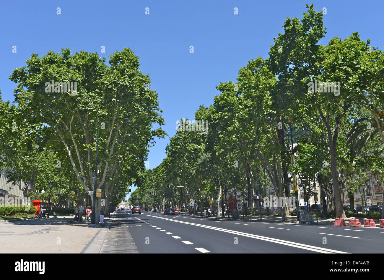 Avenida da liberdade hi-res stock photography and images - Alamy