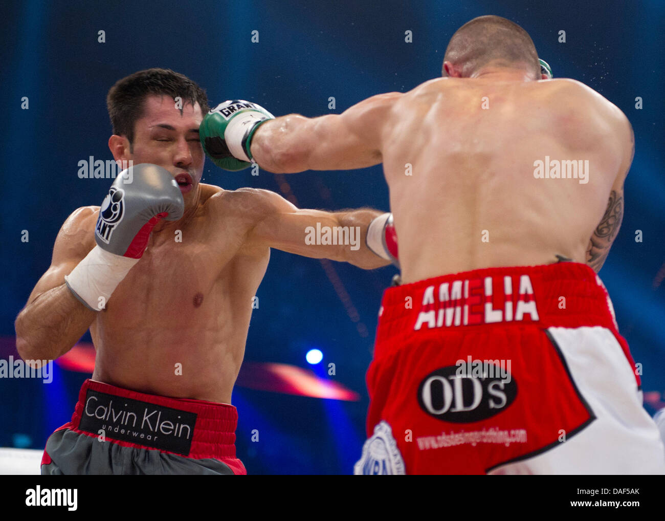 WBA middleweight Super champion Felix Sturm (L) fights his British ...