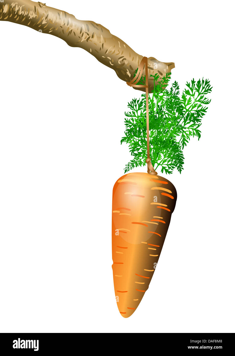carrot on a rope Stock Photo - Alamy