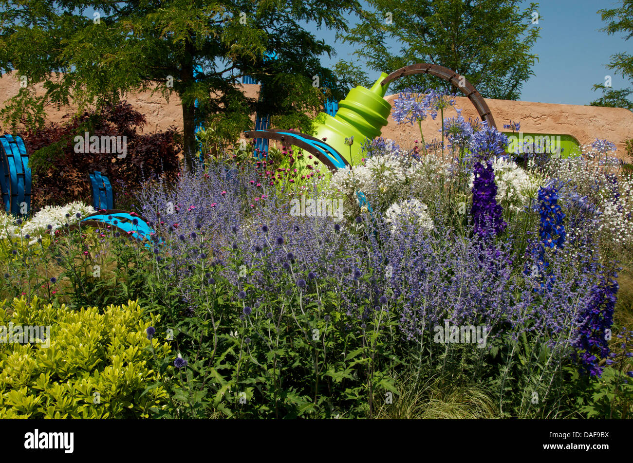 Lily of the nile blue magic hi-res stock photography and images - Alamy