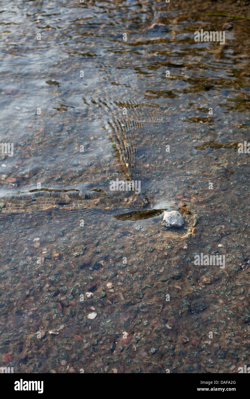 Pebble water ripples hi-res stock photography and images - Alamy