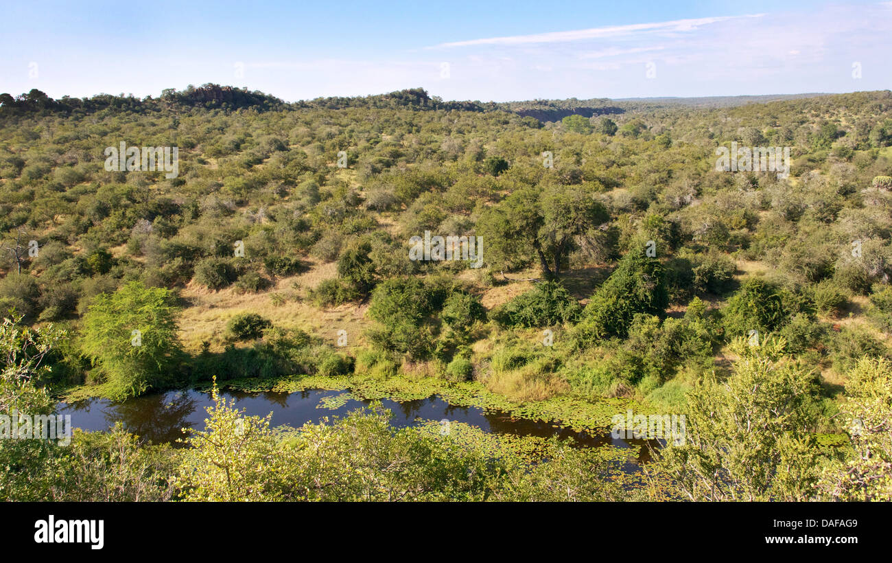 View of the bushveld landscape from the N'Wanetsi Lookout in the Kruger ...