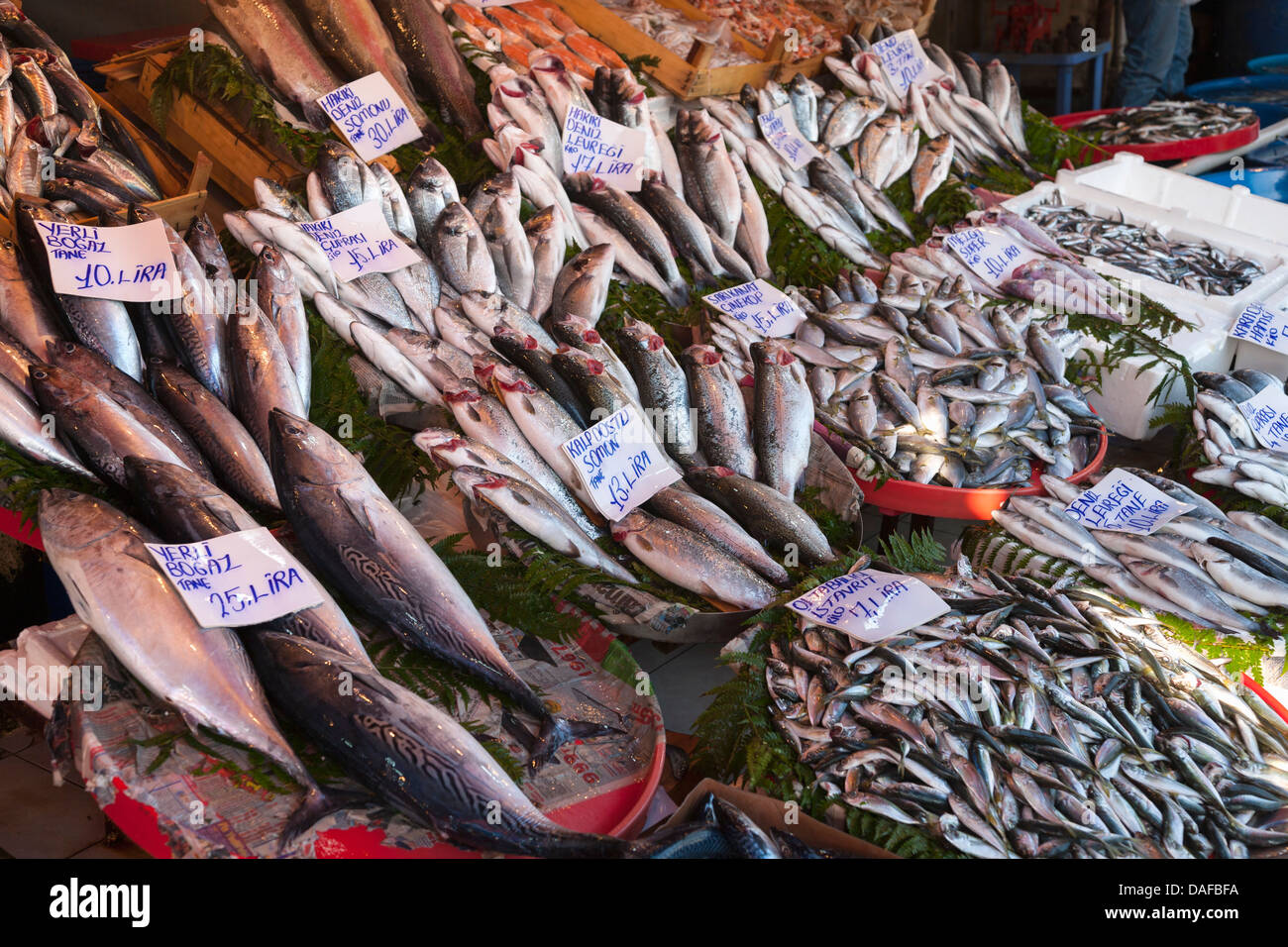 Turkey, Istanbul, Variety of fish at Karakoy fish market Stock Photo ...