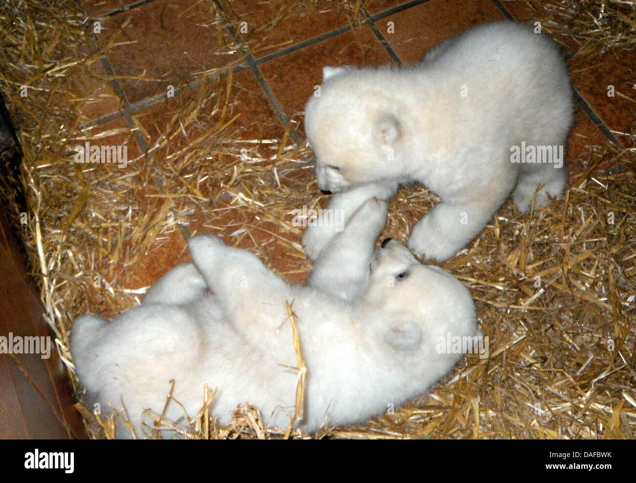 Zoo handout hi-res stock photography and images - Alamy