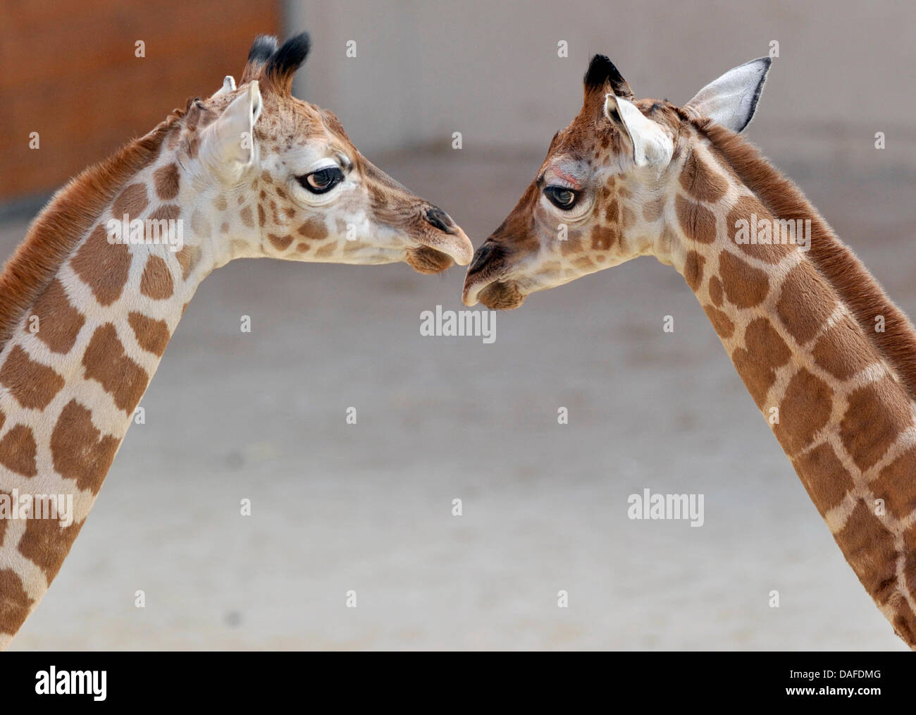 Luke roessler hi-res stock photography and images - Alamy