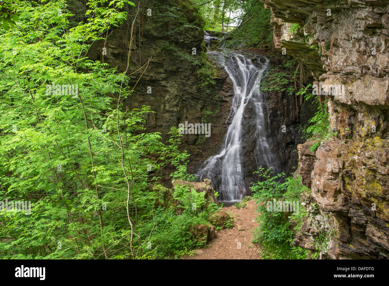 Hareshaw Linn waterfall near Bellingham, Northumberland, England Stock ...