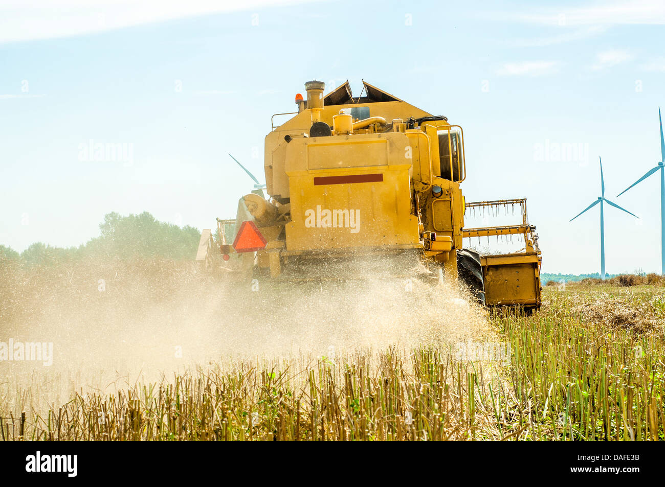 An image of combine harvesting rape Stock Photo - Alamy