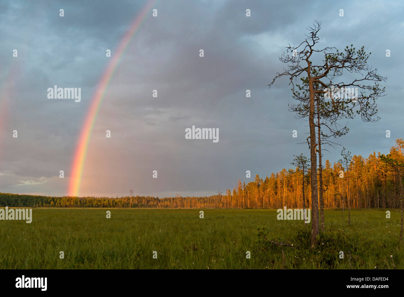 Rainbow over a mire hi-res stock photography and images - Alamy