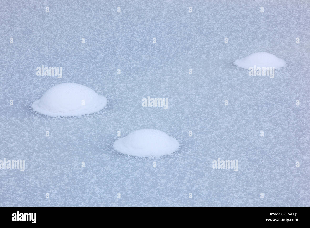 frozen air bubbles on ice sheet, Switzerland Stock Photo - Alamy