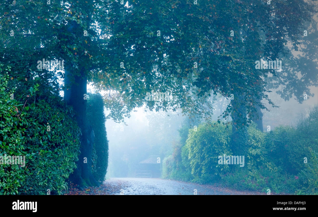 A morning mist Stock Photo - Alamy