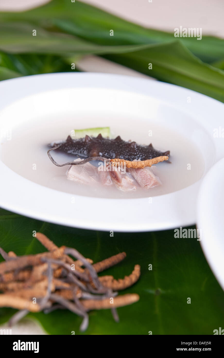china delicious food—sea slug and cordyceps (a genus of ascomycete ...