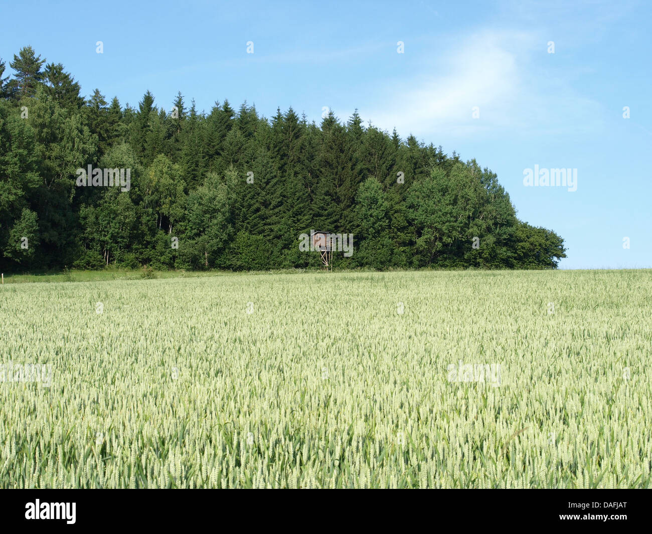 Cereal scenery hi-res stock photography and images - Alamy