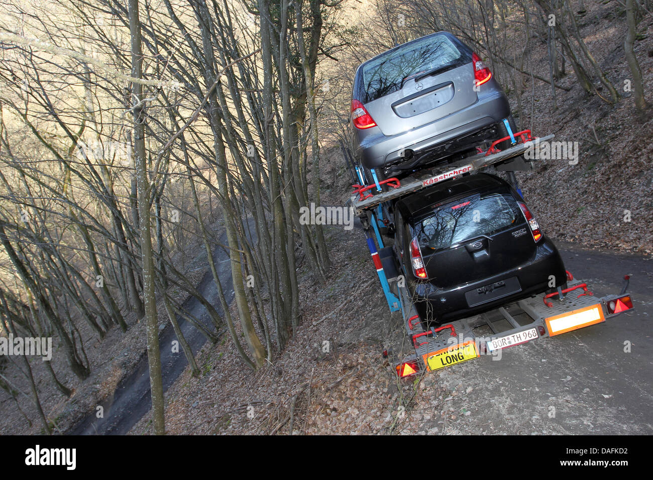 A car transporter stands on a steep forest trail near Greimersburg ...