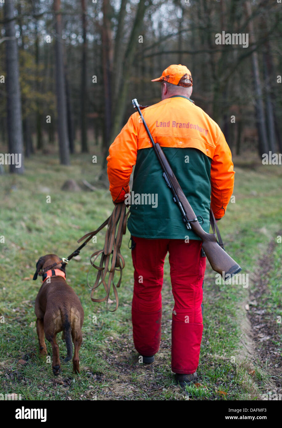 A hunter walks his dead through a forest in Sieversdorf, Germany, 03 ...