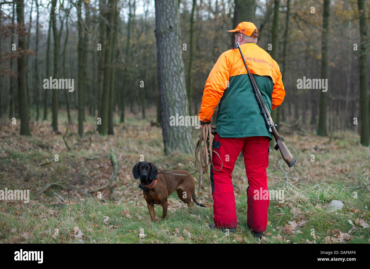 A hunter walks his dead through a forest in Sieversdorf, Germany, 03 ...