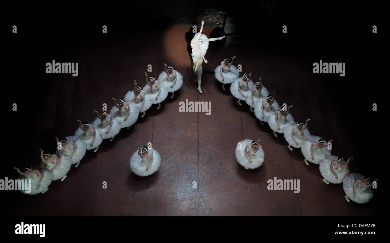 Dancers Friedemann Vogel and Alicia Amatriain (C) and other dancers of ...