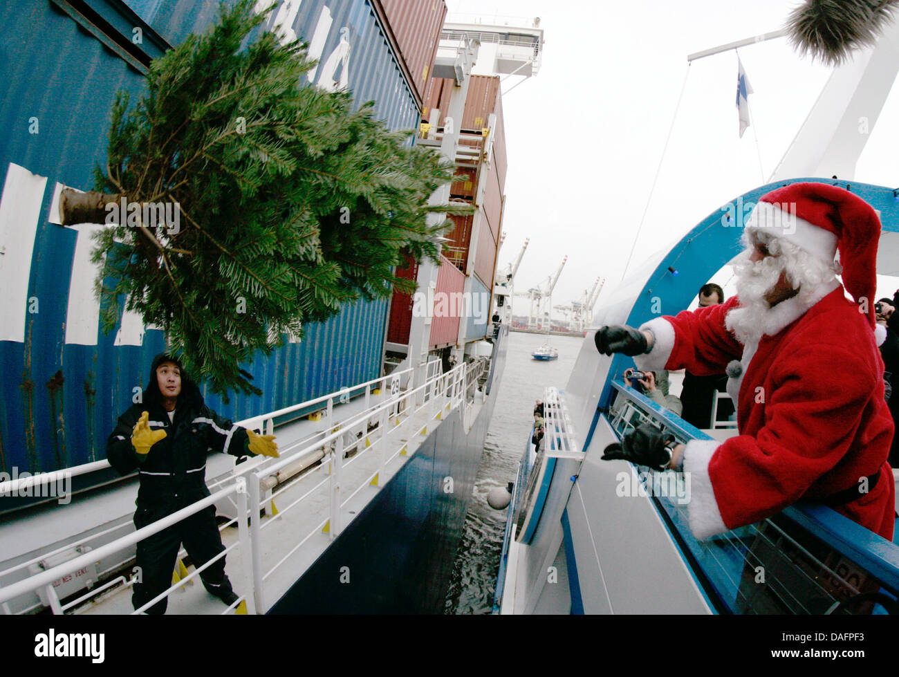 Man throws christmas trees hi-res stock photography and images - Alamy