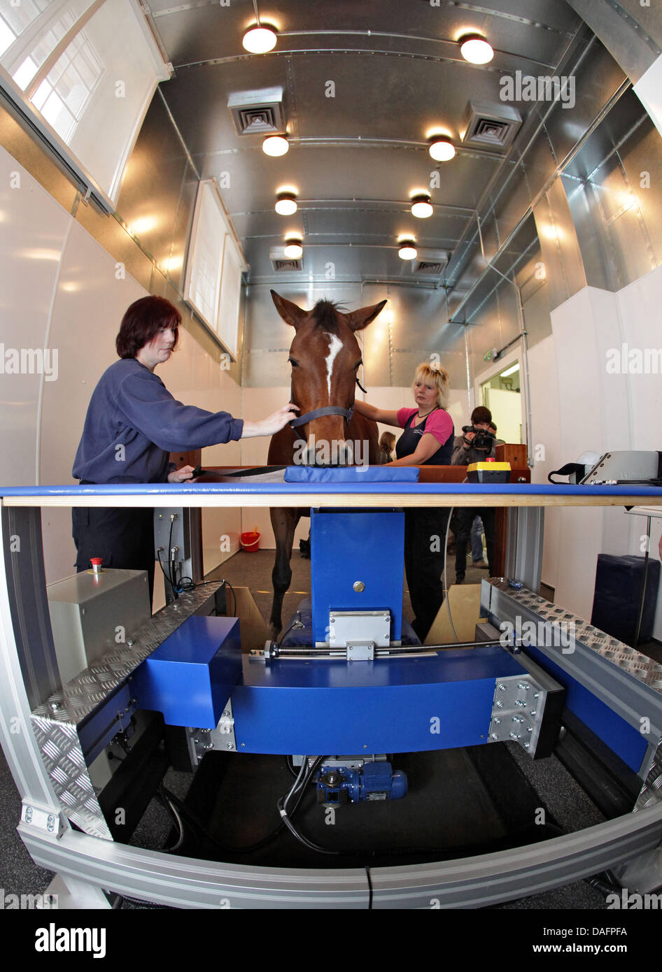 The keepers Sabine Bemmann (L), Andrea Schoelzel, and horse Lupus stand ...