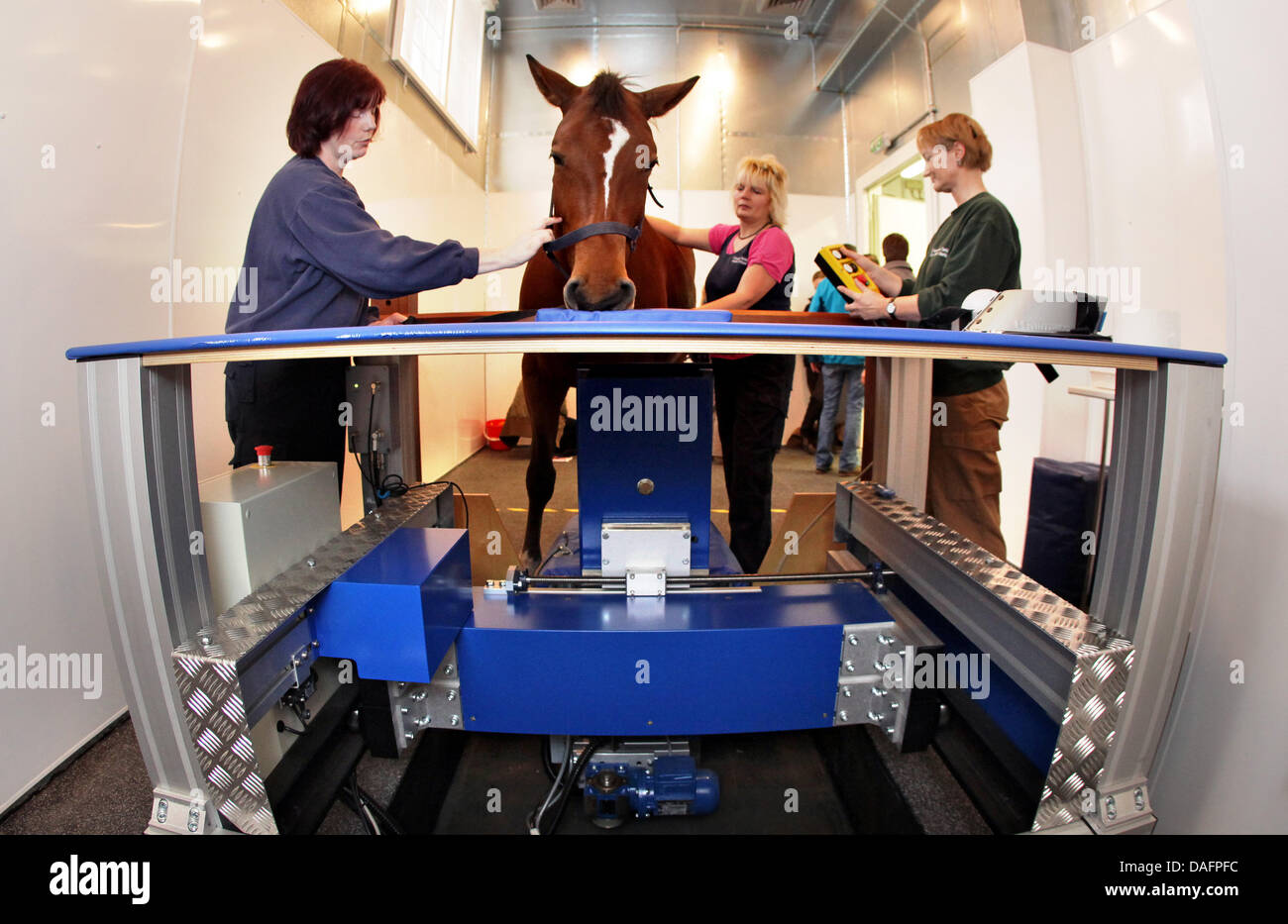 The keepers Sabine Bemmann (L), Andrea Schoelzel (C), vet Kerstin ...