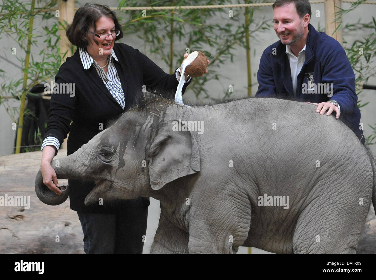 Mayor of Munich Christine Strobl (SPD) christens elephant calf "Ludwig ...