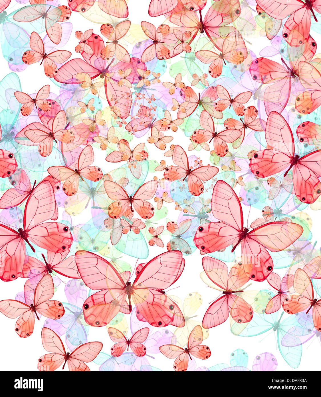beautiful butterfly abstract texture background Stock Photo - Alamy