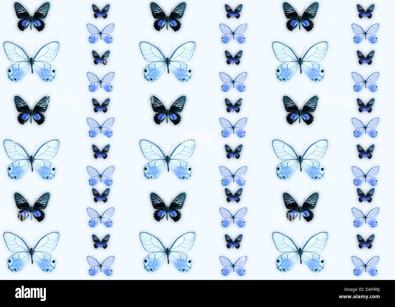 beautiful butterfly abstract texture background Stock Photo - Alamy