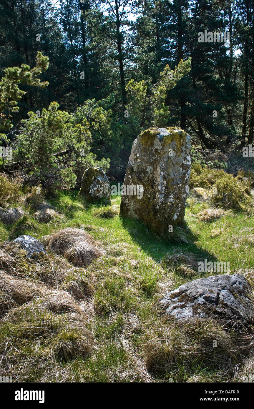 Neolithic standing stone ireland hi-res stock photography and images ...