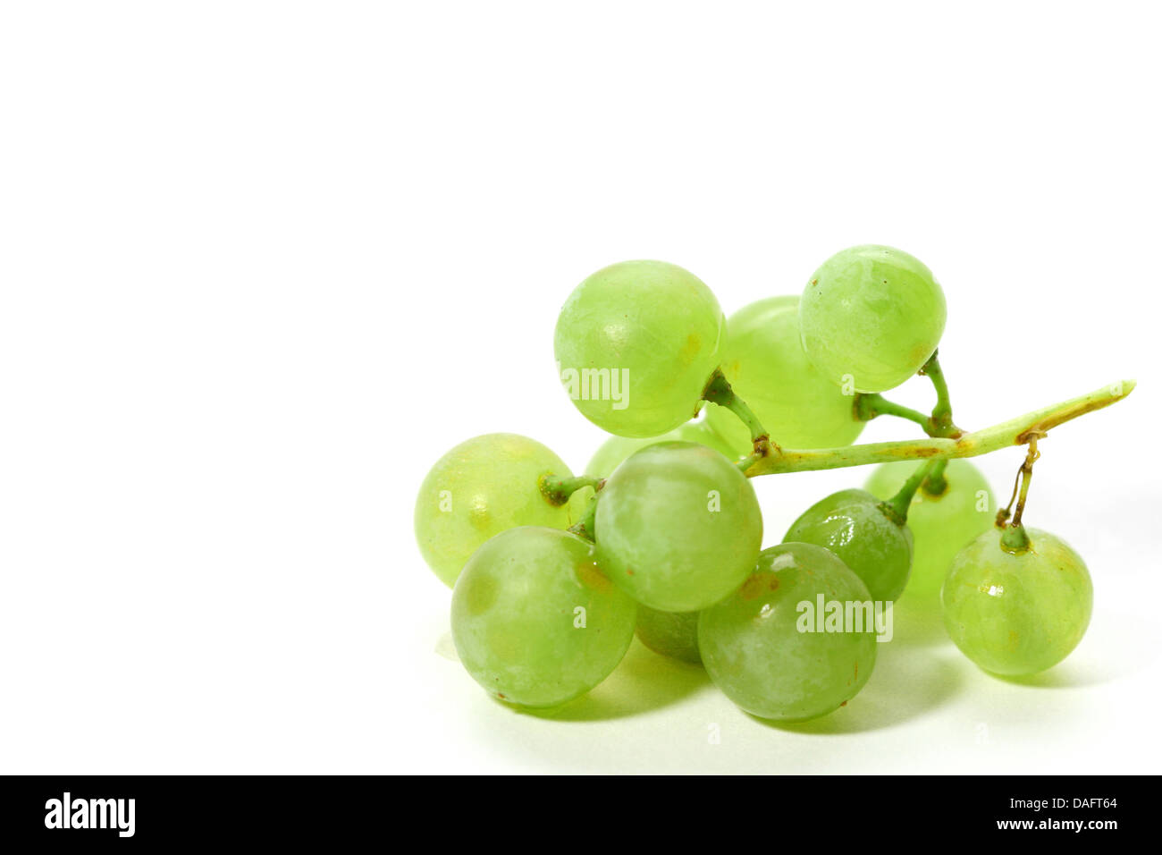 green grape isolated on white background Stock Photo - Alamy