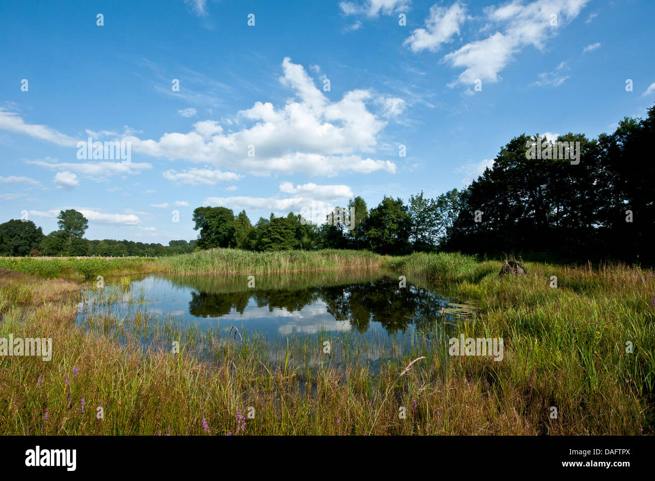 Verl hi-res stock photography and images - Alamy