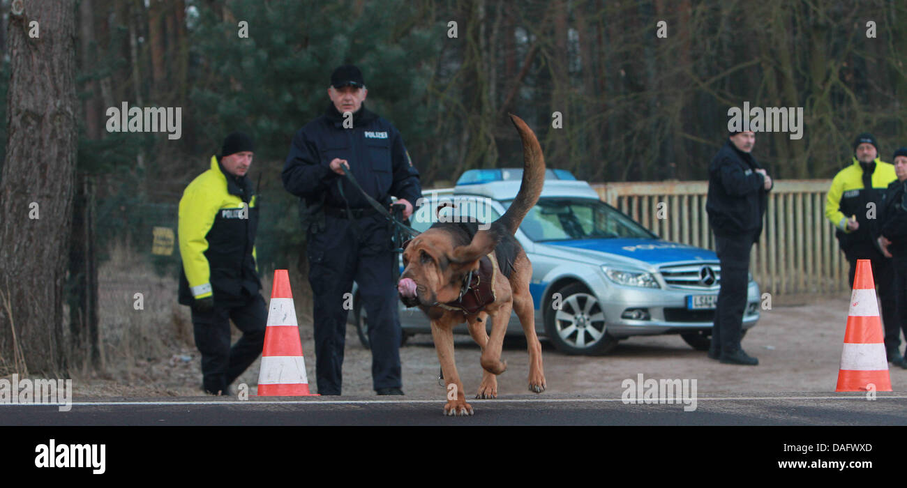 Inspect the scene hi-res stock photography and images - Alamy