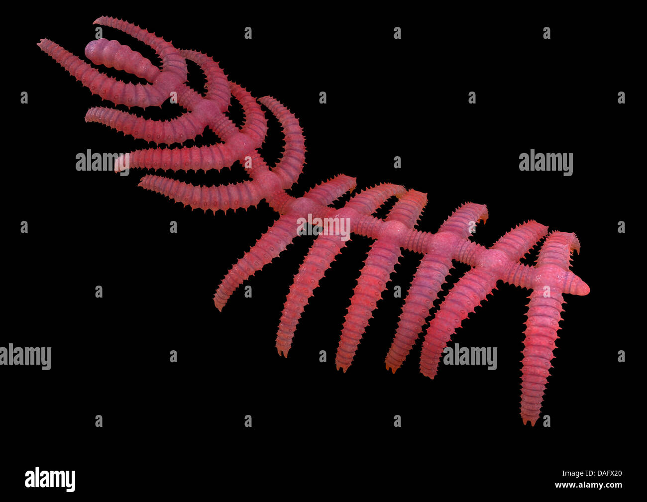 An undated Free University (FU) Berlin handout of a colour ...