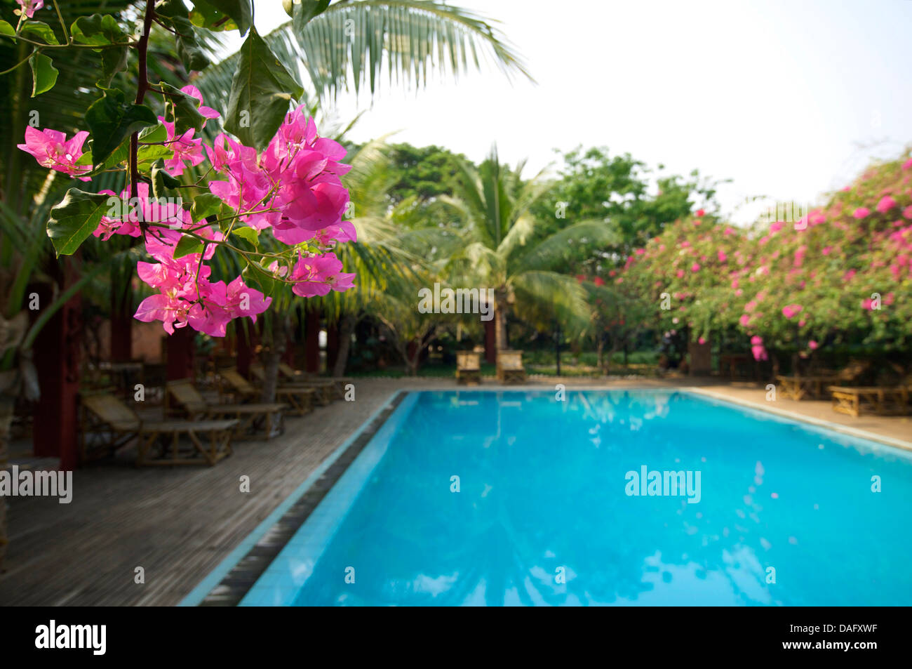 Swimming pool at the Thazin Garden Hotel, Bagan. Myanmar. Burma Stock ...
