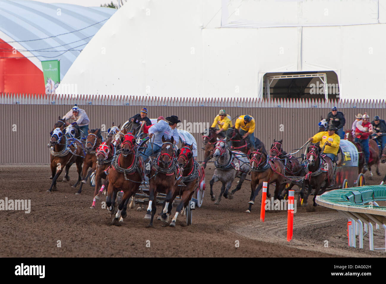 Calgary Stampede, Chuckwagon Races, one chuckwagon leads the race ...