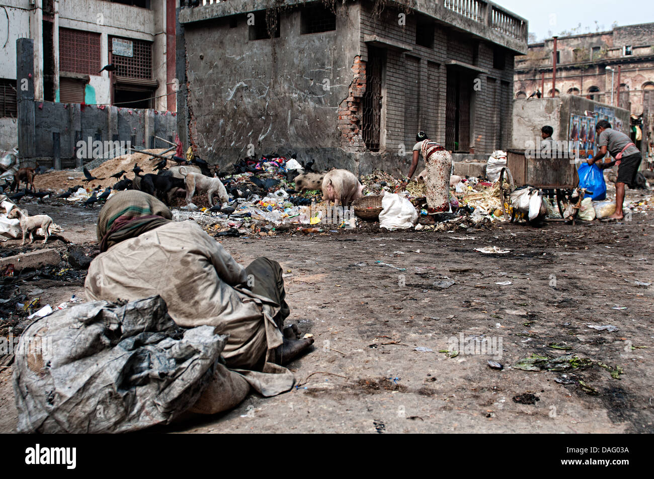 Poor Calcutta Stock Photos & Poor Calcutta Stock Images - Alamy