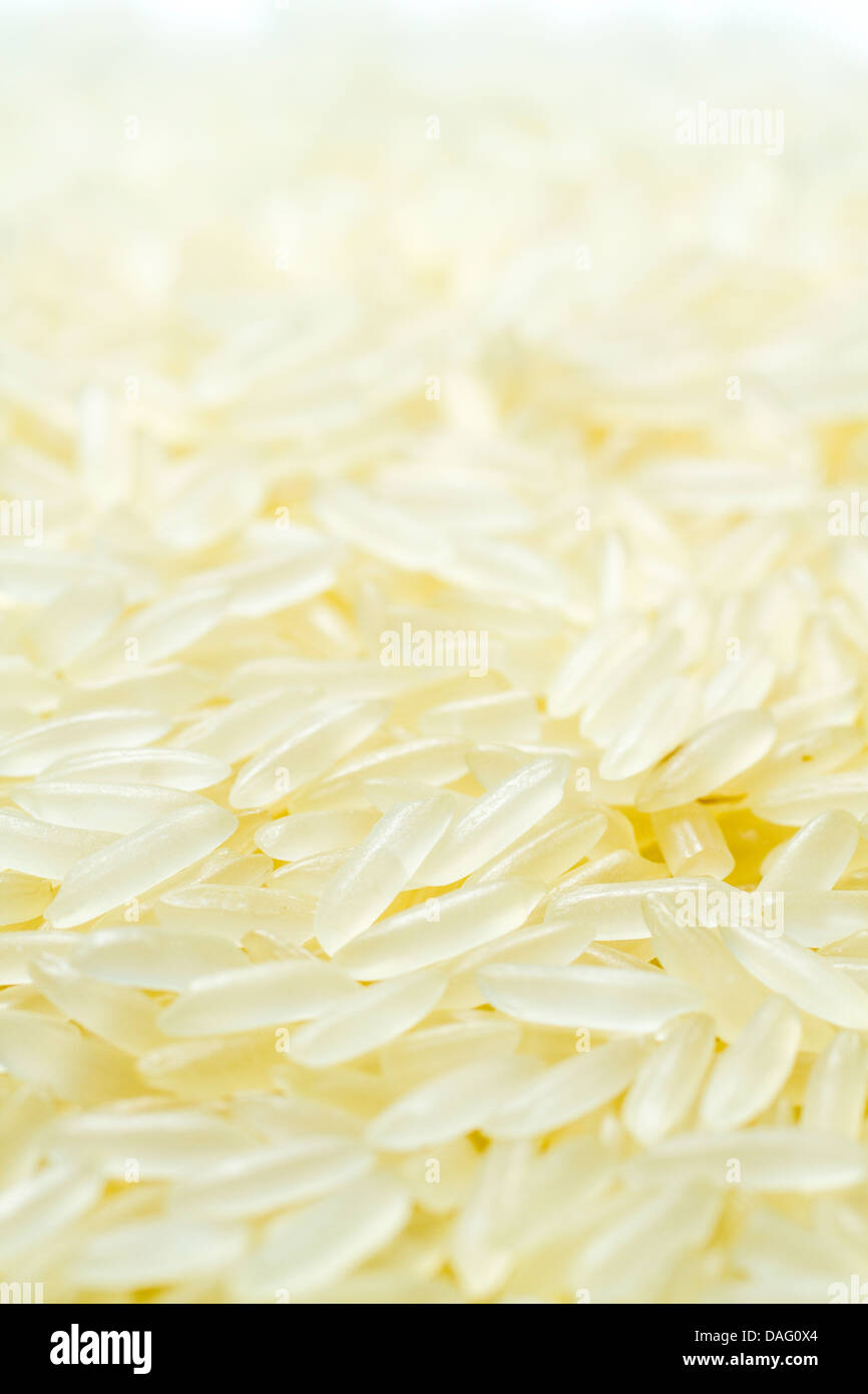 Close up shot of uncooked rice grains Stock Photo - Alamy