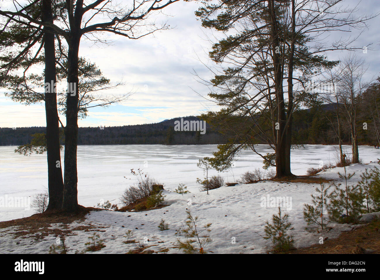 Frozen Lake & Trees Stock Photo - Alamy