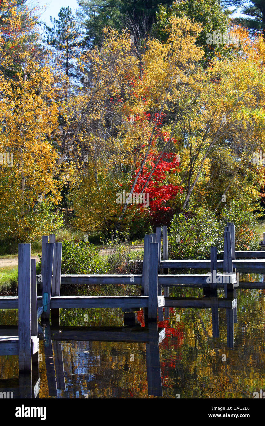 Dock & Fall Trees Stock Photo - Alamy