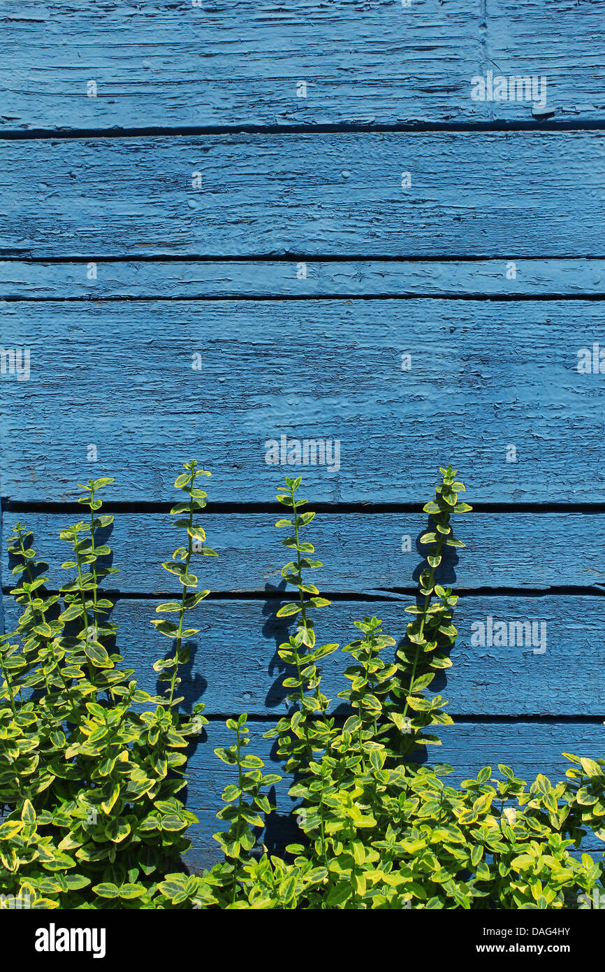 pedstrian sign and bicycle road sign Stock Photo - Alamy