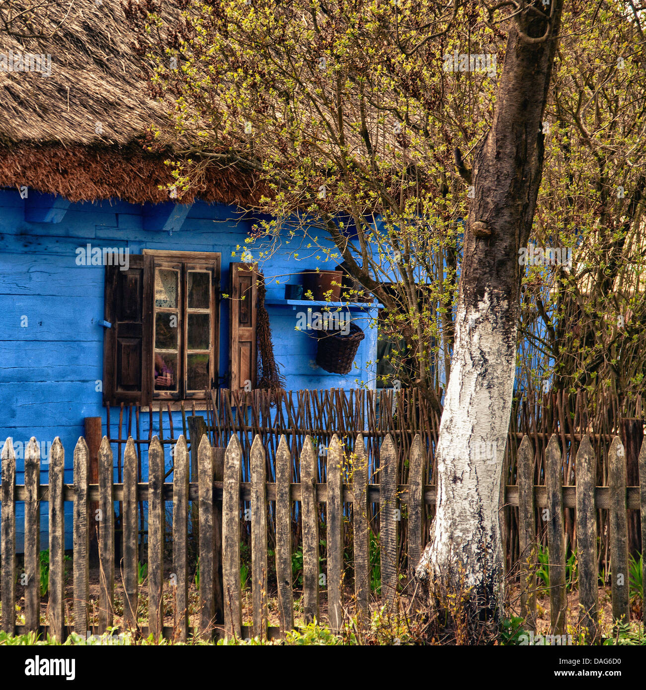 Cottage from Czermno in Museum of the Mazovian Countryside in Sierpc ...