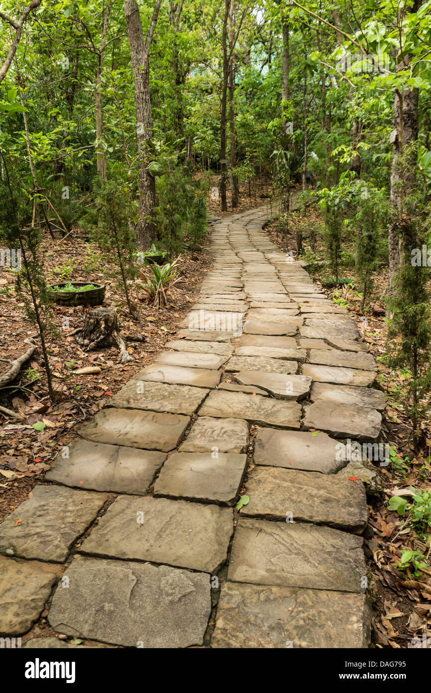 Stone path leading to the forest with trees around Stock Photo - Alamy