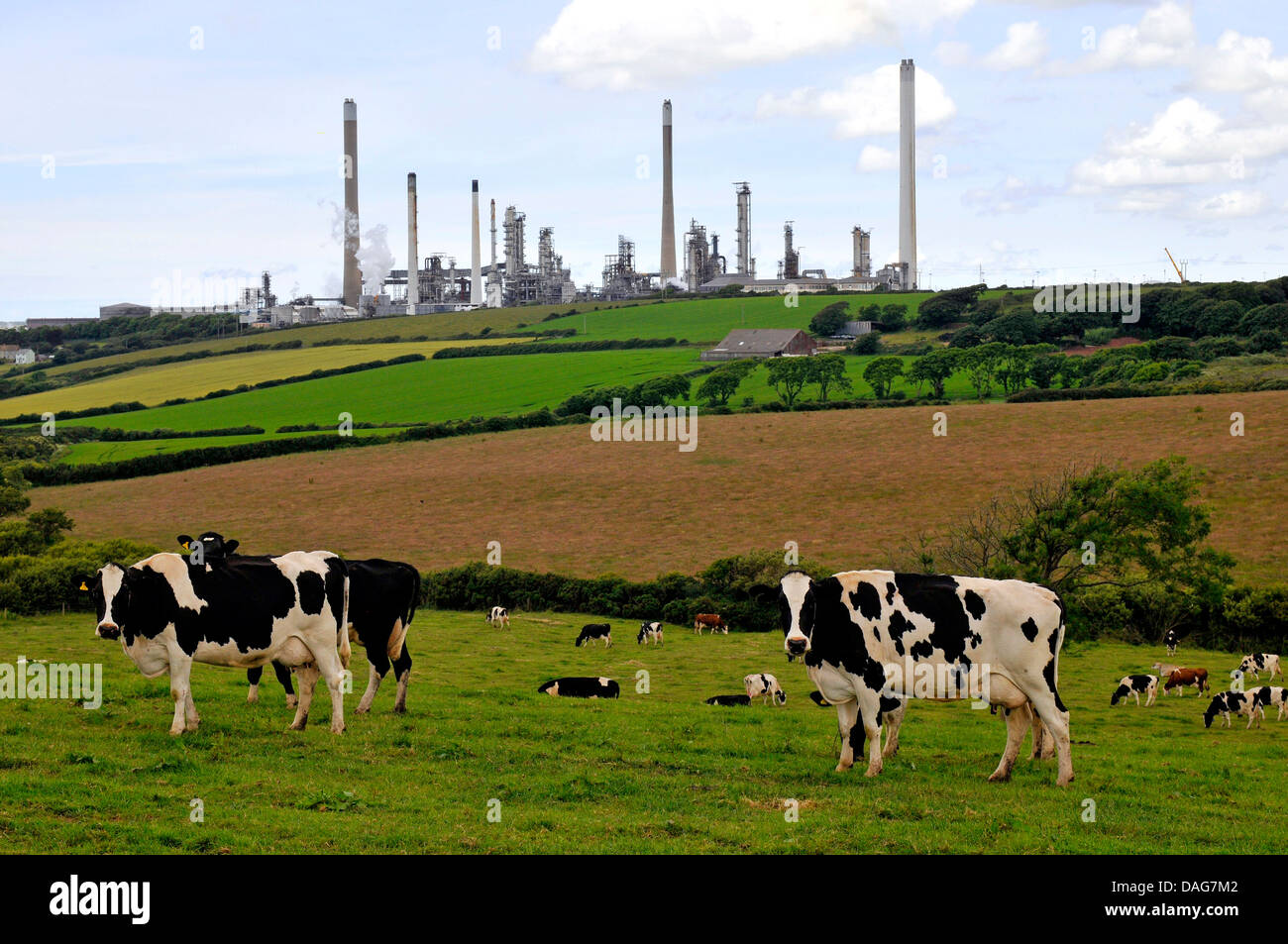 Livestock facilities hi-res stock photography and images - Alamy