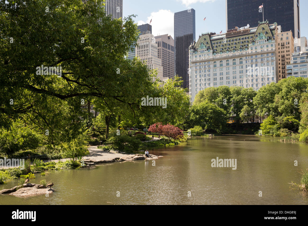 Central park pond hi-res stock photography and images - Alamy